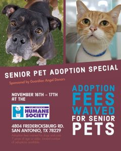 Senior Pet Adoption Special - San Antonio Humane Society