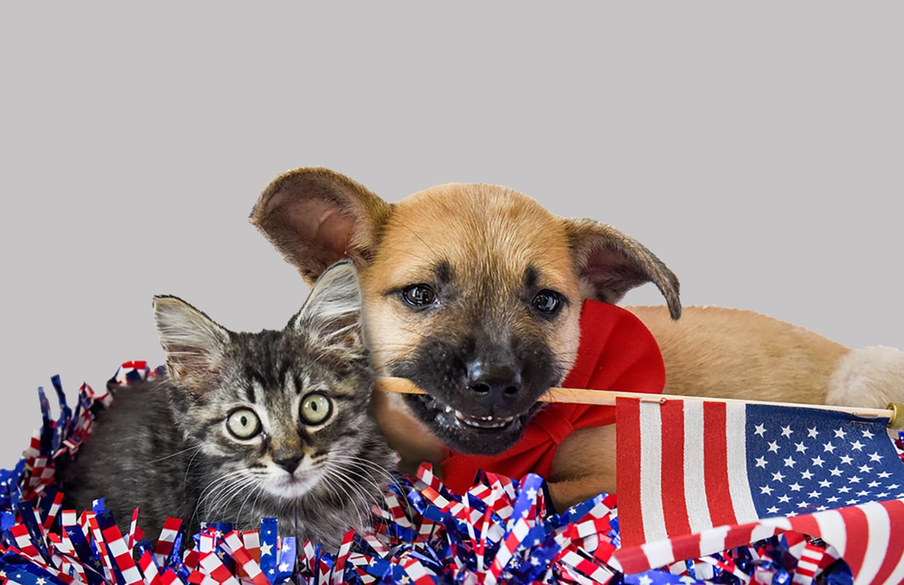 Pet Care Resources - San Antonio Humane Society