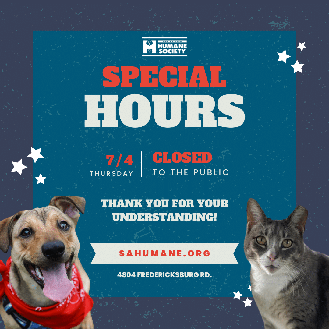 Home - San Antonio Humane Society